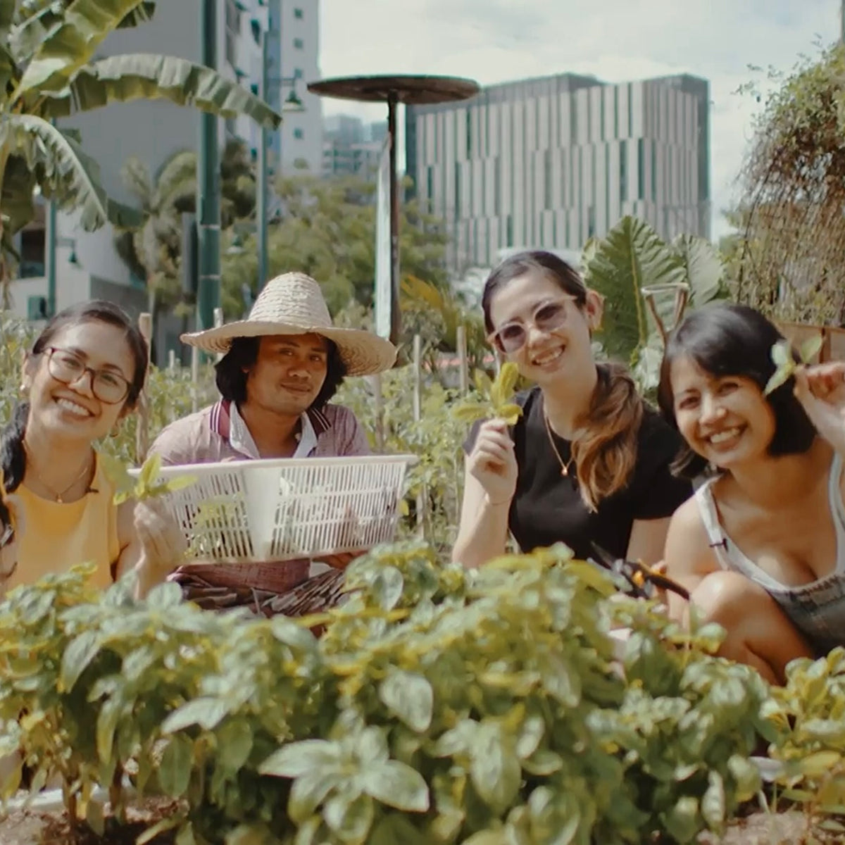 How being a plantita (or plantito) can be good for your creativity ...